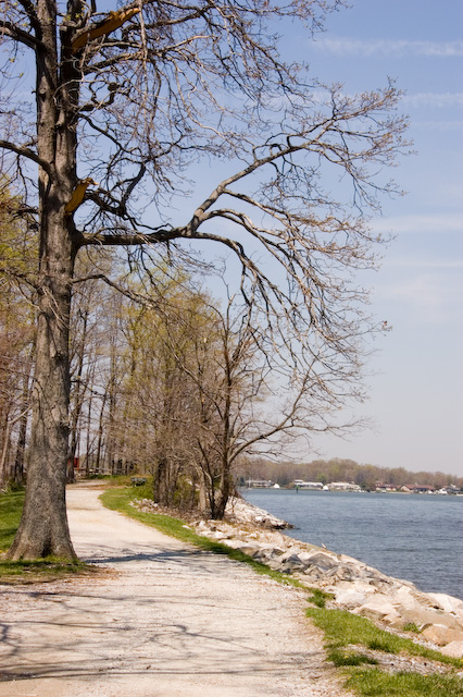 Thomas Point Park on the Chesapeake Bay – Biking Bis