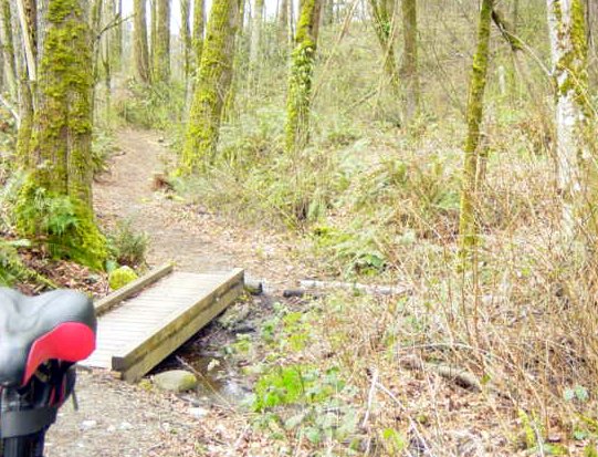 Biking path somewhere in Newcastle – Biking Bis