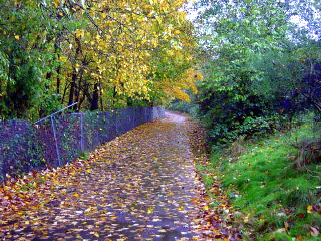 Section of Lake Washington bike trail – Biking Bis