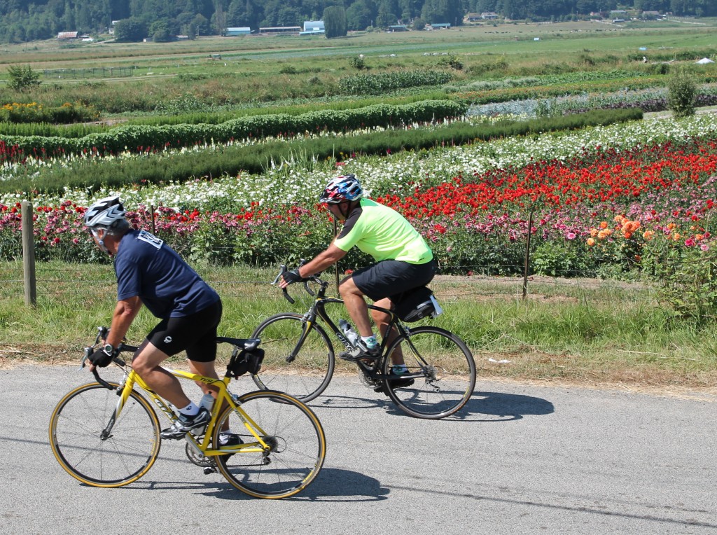 My guidebook — Best Bike Rides Seattle — is now available – Biking Bis