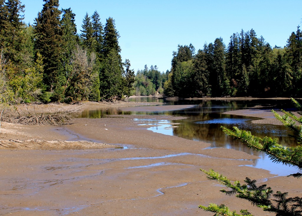 Bridge completion closes gap on Chehalis-Western Trail in Lacey ...