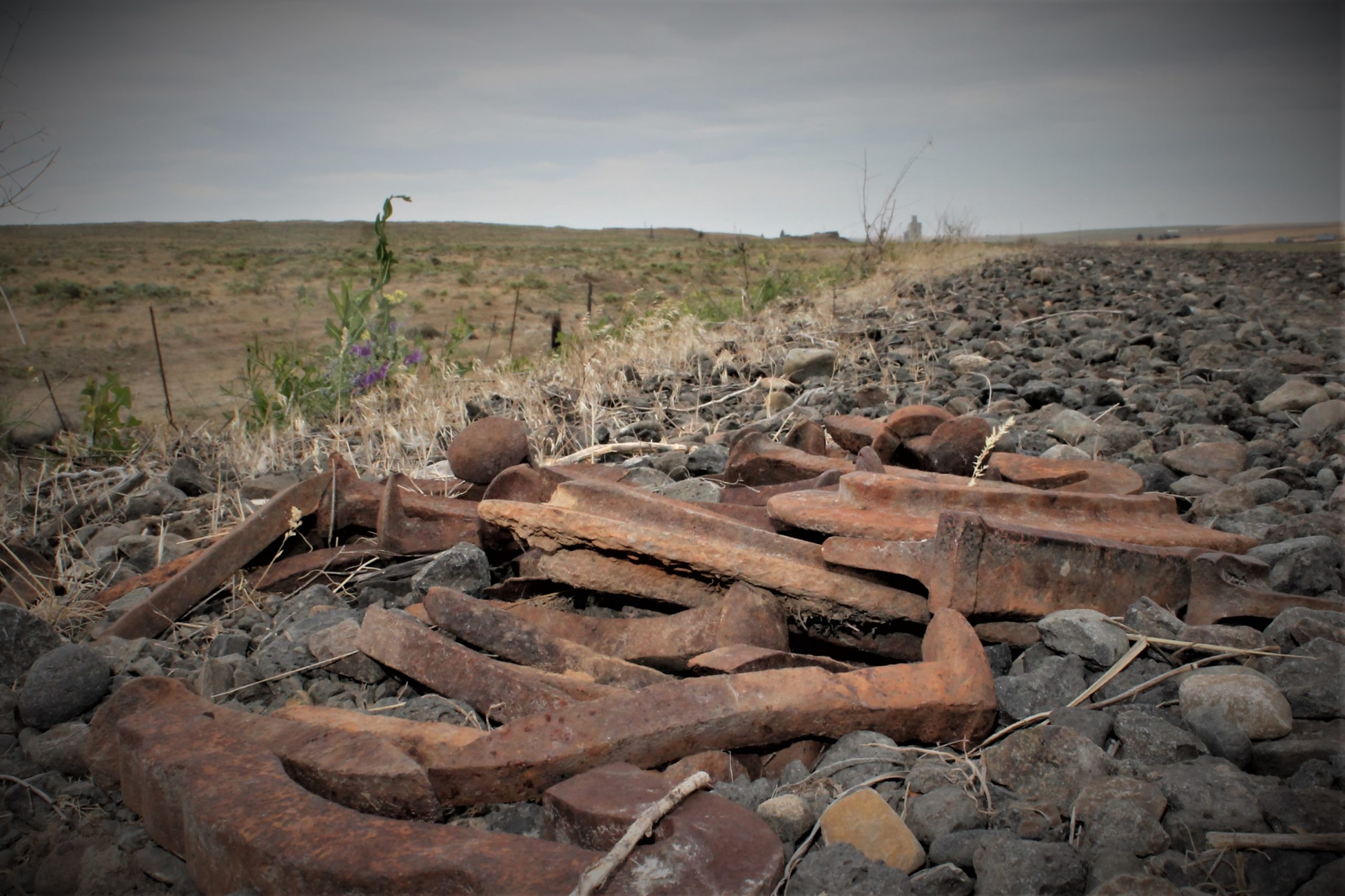 Railroad spikes repurposed as art – Biking Bis