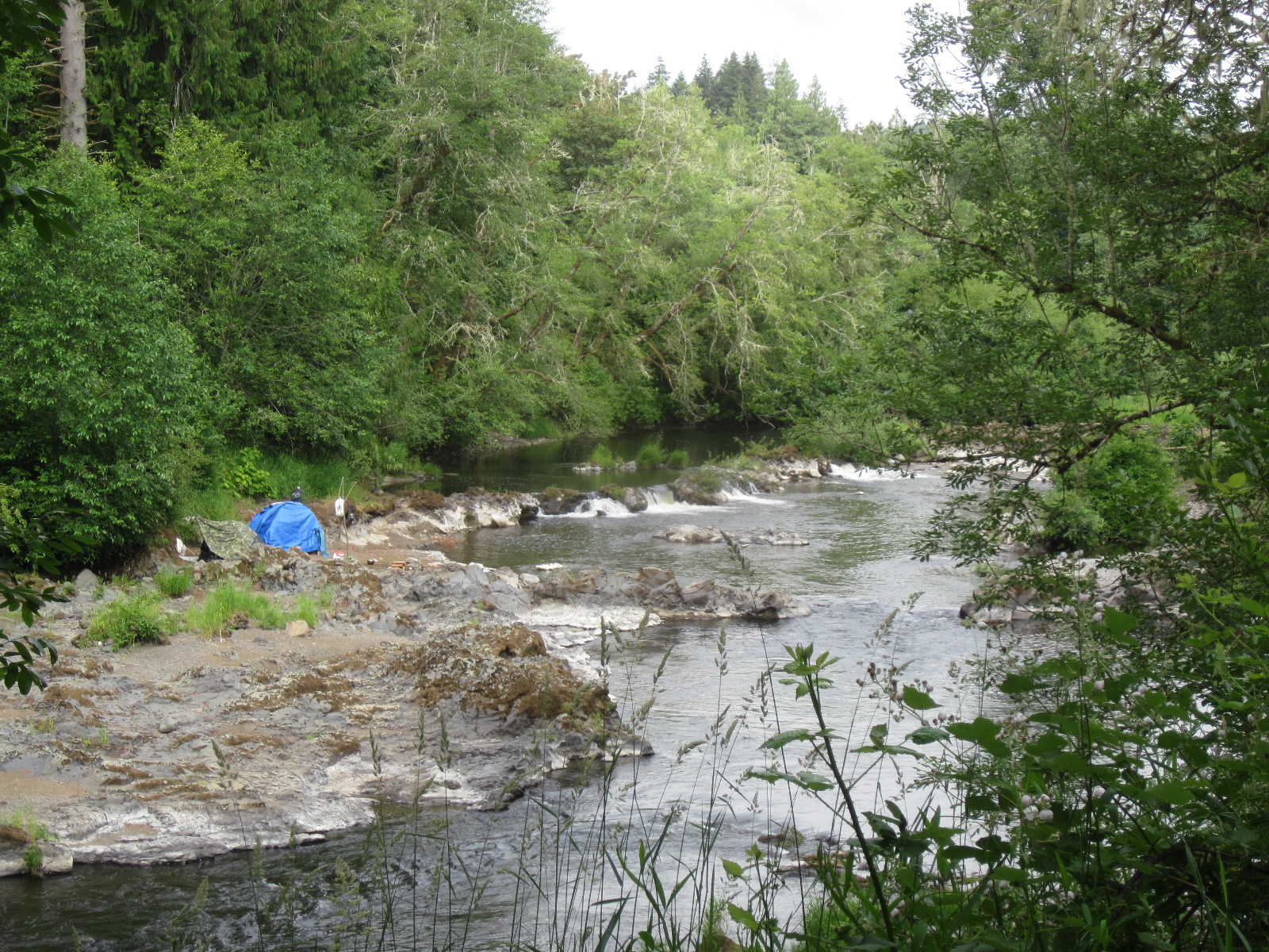 Pedestrian bridge work starts on Willapa Hills Trail near Chehalis ...
